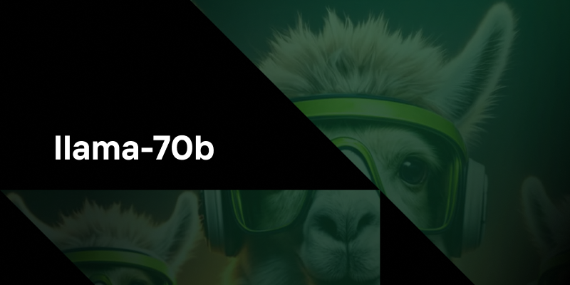 Why Loading llama-70b is Slow: A Comprehensive Guide to Optimization - Novita